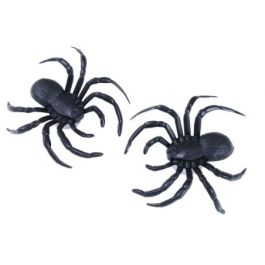 Spiders with Suction Cup